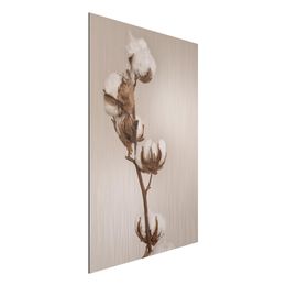 Alu Dibond Outdoor Bild - Zerbrechlicher Baumwollzweig - Blumen braun Motiv wetterfest Deko Wohnzimmer Schlafzimmer