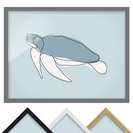 Bilderwelten Bild mit Rahmen - Querformat Schildkr&ouml;te Line Art