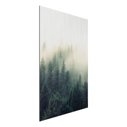 Bilderwelten Alu Dibond Outdoor Bild Wald gr&uuml;n Motiv wetterfest - Wald im Nebel Erwachen - B&auml;ume Wohnzimmer Schlafzimmer