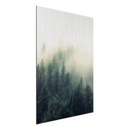 Bilderwelten Alu-Dibond Outdoor Bild Wald im Nebel Erwachen