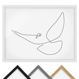 Bilderwelten Bild mit Rahmen Tiere schwarz weiss Line Art inkl. Rahmung - Taube Line Art - V&ouml;gel Wohnzimmer Schlafzimmer