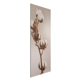 Alu Dibond Outdoor Bild - Zerbrechlicher Baumwollzweig - Blumen braun Motiv wetterfest Deko Wohnzimmer Schlafzimmer