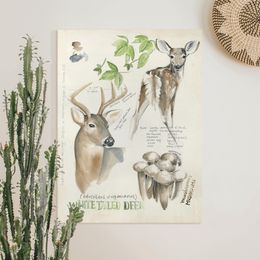 Bilderwelten Leinwandbild Vintage Tiere Wildnis Journal - Hirsch - Leinwanddruck Hochformat - Wandbild S-XXL - moderne Bilder auf Leinwand Wohnzimmer