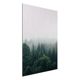 Bilderwelten Alu Dibond Outdoor Bild Wald gr&uuml;n Motiv wetterfest - Wald im Nebel D&auml;mmerung - B&auml;ume Wohnzimmer Schlafzimmer