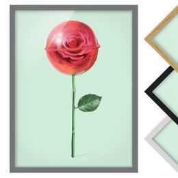 Bilderwelten Bild mit Rahmen - Hochformat Rose mit Lollipop