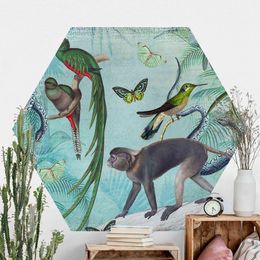 Bilderwelten Hexagon Tapete Tiere Tropisch Wandtapete gr&uuml;n - Colonial Style Collage - &Auml;ffchen und Paradiesv&ouml;gel - Affe Wohnzimmer Schlafzimmer