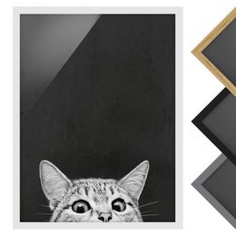 Bilderwelten Bild mit Rahmen Tiere schwarz Pop Art Aquarell - Illustration Katze Schwarz Wei&szlig; Zeichnung - Katze Wohnzimmer Schlafzimmer