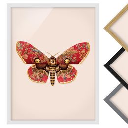Bilderwelten Bild mit Rahmen Tiere rot Vintage inkl. Rahmung - Vintage Motte - Retro Wohnzimmer Schlafzimmer