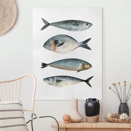 Bilderwelten Leinwandbild Botanik Vier Fische in Aquarell II - Leinwanddruck Hochformat - Wandbild S-XXL - moderne Bilder auf Leinwand Wohnzimmer