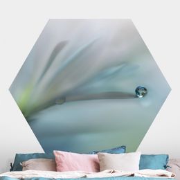 Bilderwelten Hexagon Fototapete Tautropfen auf wei&szlig;er Bl&uuml;te
