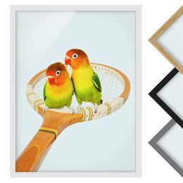 Bilderwelten Bild mit Rahmen Tiere t&uuml;rkis Fotomontage inkl. Rahmung - Tennis mit V&ouml;geln - Tennis Wohnzimmer Schlafzimmer
