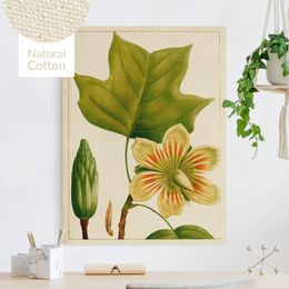 Bilderwelten Leinwandbild - Hochformat Tableau Blatt Bl&uuml;te Frucht IV