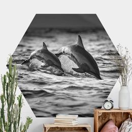 Bilderwelten Hexagon Tapete Tiere Motiv Wandtapete schwarz weiss - Zwei springende Delfine - Fische Wohnzimmer Schlafzimmer