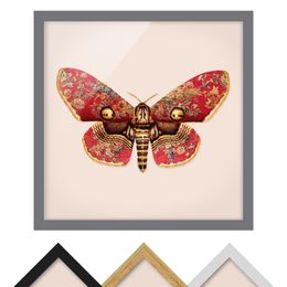 Bilderwelten Bild mit Rahmen - Quadrat Vintage Motte