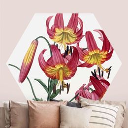 Bilderwelten Hexagon Tapete Blumen Vintage Wandtapete pink - Pierre Joseph Redout&eacute; - T&uuml;rkenbundlilie - Retro Wohnzimmer Schlafzimmer