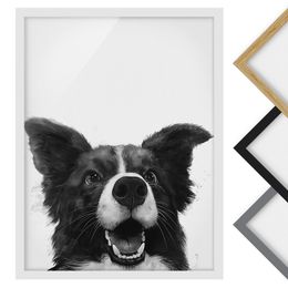 Bilderwelten Bild mit Rahmen Tiere schwarz weiss Pop Art Aquarell - Illustration Hund Border Collie Schwarz Wei&szlig; Malerei - Hund Wohnzimmer Schlafzimmer