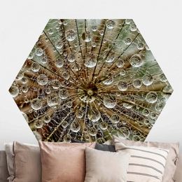 Hexagon Fototapete selbstklebend Pusteblume im Herbst