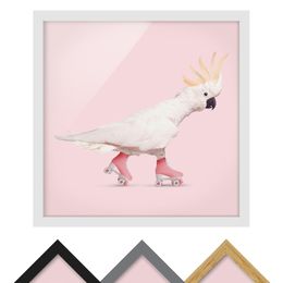 Bilderwelten Bild mit Rahmen Tiere rosa Fotomontage inkl. Rahmung - Kakadu mit Rollschuhen - Skating Wohnzimmer Schlafzimmer