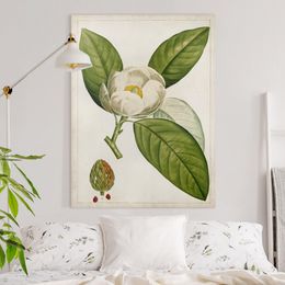 Bilderwelten Leinwandbild Blumen Landhaus Kunstdruck gr&uuml;n - Tableau Blatt Bl&uuml;te Frucht II - Pflanzen XXL Wohnzimmer Schlafzimmer