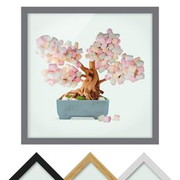 Bilderwelten Bild mit Rahmen - Quadrat Bonsai mit Marshmallows