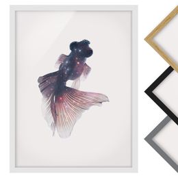 Bilderwelten Bild mit Rahmen Tiere violett Digital Art inkl. Rahmung - Fisch mit Galaxie - Fische Wohnzimmer Schlafzimmer