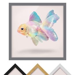 Bilderwelten Bild mit Rahmen - Quadrat Fisch in Pastell