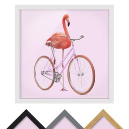 Bilderwelten Bild mit Rahmen Tiere rosa Fotomontage inkl. Rahmung - Flamingo mit Fahrrad - Fahrzeuge Wohnzimmer Schlafzimmer