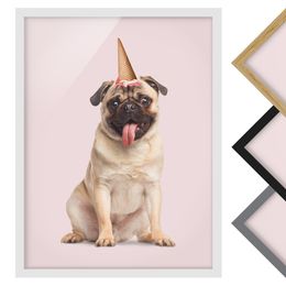 Bilderwelten Bild mit Rahmen Tiere beige Fotomontage inkl. Rahmung - Mops mit Eiswaffel - Hund K&uuml;che