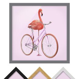 Bilderwelten Bild mit Rahmen - Quadrat Flamingo mit Fahrrad