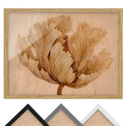 Bilderwelten Bild mit Rahmen - Querformat Sepia Tulpe auf Holz