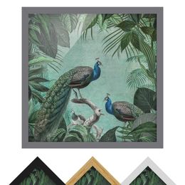 Bilderwelten Bild mit Rahmen Tiere t&uuml;rkis Vintage inkl. Rahmung - Shabby Chic Collage - Edler Pfau - Pflanzen Wohnzimmer Schlafzimmer