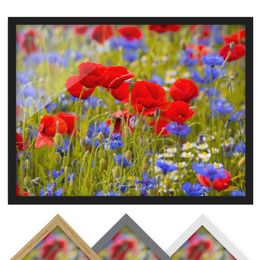 Bilderwelten Bild mit Rahmen - Querformat Sommerwiese mit Mohn und Kornblumen