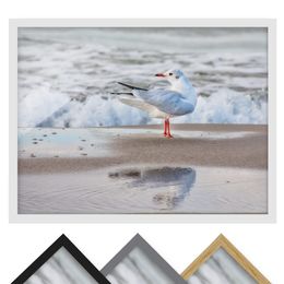 Bilderwelten Bild mit Rahmen Strand beige Motiv inkl. Rahmung - M&ouml;we am Strand vor Meer - Landschaft Wohnzimmer Schlafzimmer
