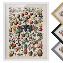 Bilderwelten Bild mit Rahmen - Hochformat Vintage Lehrtafel Fr&uuml;chte