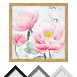 Bilderwelten Bild mit Rahmen Blumen rosa modern Aquarell - Zeichnung Rosa P&auml;onien I - Rose Wohnzimmer Schlafzimmer