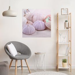 Bilderwelten Glasbild Tiere Motiv pastell Glas Wandbild - Seeigel in Pastell - Deko Wohnzimmer Schlafzimmer