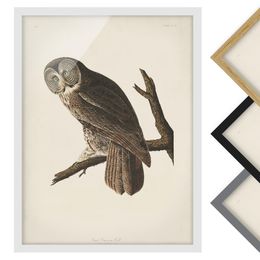 Bilderwelten Bild mit Rahmen Tiere braun Vintage inkl. Rahmung - Vintage Lehrtafel Gro&szlig;e Eule - Retro Wohnzimmer Schlafzimmer