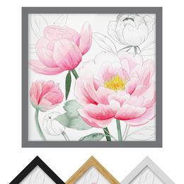 Bilderwelten Bild mit Rahmen - Quadrat Zeichnung Rosa P&auml;onien I