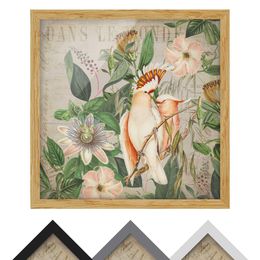 Bilderwelten Bild mit Rahmen Blumen rosa Vintage inkl. Rahmung - Colonial Style Collage - Rosa Kakadu - Retro Wohnzimmer Schlafzimmer