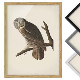 Bilderwelten Bild mit Rahmen - Hochformat Vintage Lehrtafel Gro&szlig;e Eule