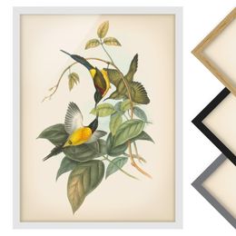 Bilderwelten Bild mit Rahmen Tiere gr&uuml;n Vintage inkl. Rahmung - Vintage Illustration Tropische V&ouml;gel IV - Retro Wohnzimmer Schlafzimmer