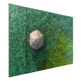 Bilderwelten Alu Dibond Outdoor Bild Natur gr&uuml;n Motiv wetterfest - Strohh&uuml;tte im hohen Schilf - Landschaft Wohnzimmer Schlafzimmer