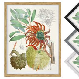 Bilderwelten Bild mit Rahmen - Hochformat Vintage Illustration Tropische Bl&uuml;ten II
