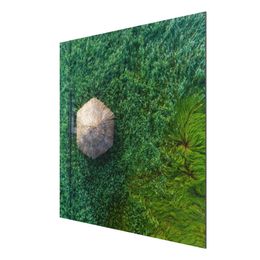 Bilderwelten Alu-Dibond Outdoor Bild Strohh&uuml;tte im hohen Schilf