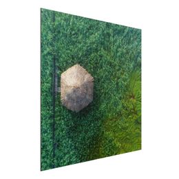 Alu Dibond Outdoor Bild - Strohh&uuml;tte im hohen Schilf - Natur gr&uuml;n Motiv wetterfest Landschaft Wohnzimmer Schlafzimmer