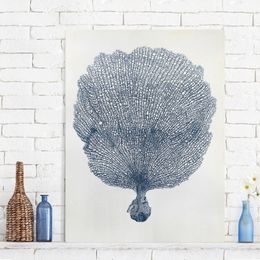 Bilderwelten Leinwandbild Kunst & Malerei Strand Strandgut in Navy VI - Leinwanddruck Hochformat - Wandbild S-XXL - moderne Bilder auf Leinwand Flur