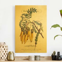 Bilderwelten Leinwandbild - Hochformat Botanisches Tableau - Schnurbaum