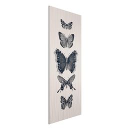 Bilderwelten Alu Dibond Outdoor Bild Tiere grau Illustration wetterfest - Tusche Schmetterlinge auf Beige - Schmetterlinge Wohnzimmer Schlafzimmer