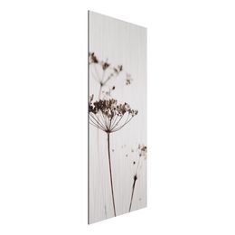 Bilderwelten Alu Dibond Outdoor Bild Blumen braun Motiv wetterfest - Trockenblume im Schatten - Deko Wohnzimmer Schlafzimmer