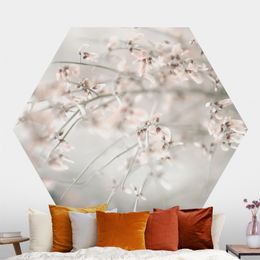 Bilderwelten Hexagon Tapete Vliestapete Landhaus Wandtapete schwarz weiss - F&uuml;r immer Fr&uuml;hling - Pflanzen Wohnzimmer Schlafzimmer